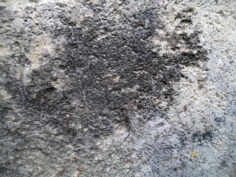 Background of Stone Chips. Pattern of Light Gray Stone Stock Photo ...