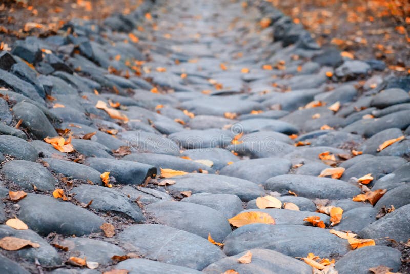 Background Stone Cobbles Path with Fallen Autumn Leaves. Canal for ...