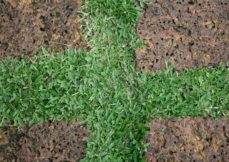 Background stone and grass stock image. Image of material - 44953509