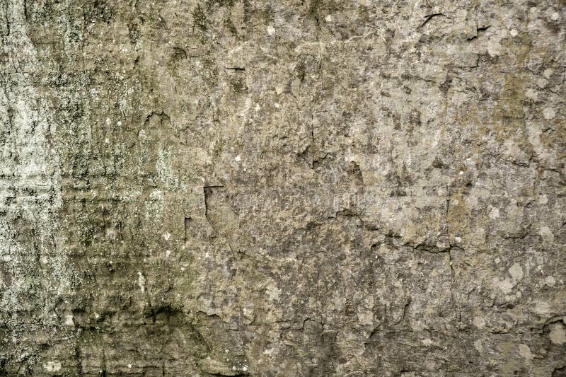 Background of Stone, Stone Rock Gray Stone Stock Photo - Image of ...
