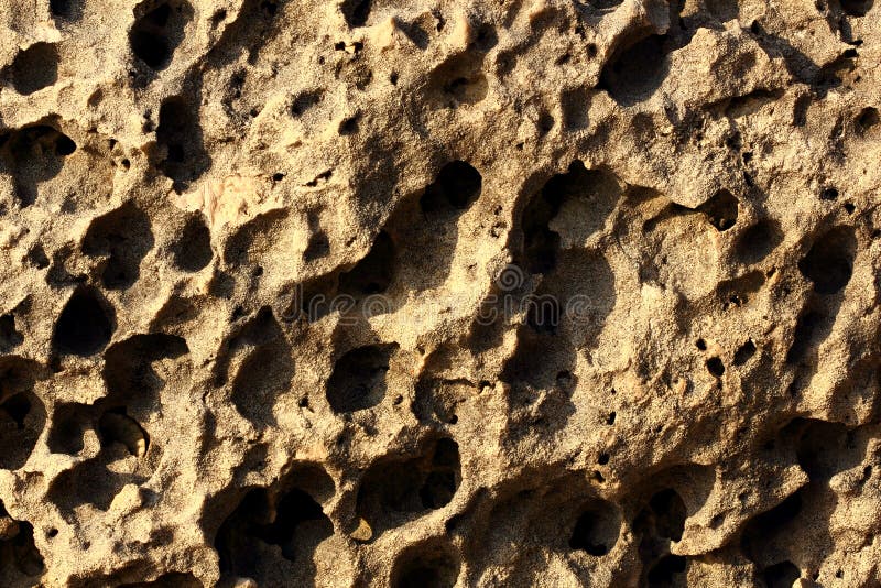 Background Stone Surface Brown Porous with Holes Shell Rock Macro. Full ...