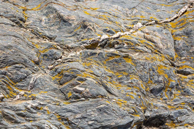 Background of a Stone Surface with Yellow Crustose Lichen Stock Photo ...