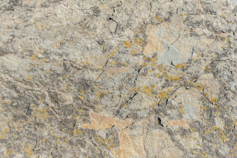 Lichen stone texture stock photo. Image of stone, texture - 217243176