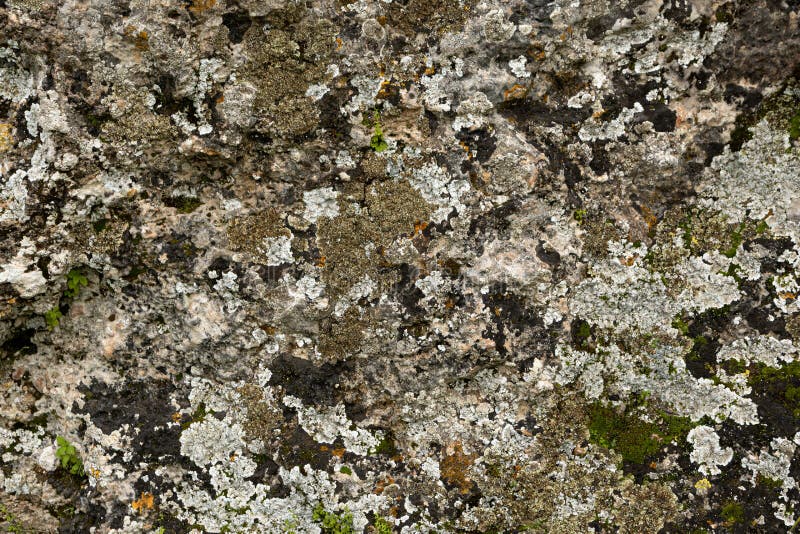 Background with Stone Texture and Natural Spots Stock Photo - Image of ...