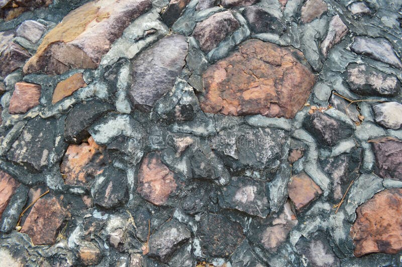 Cement clinker wall stock photo. Image of animal, head - 109972322