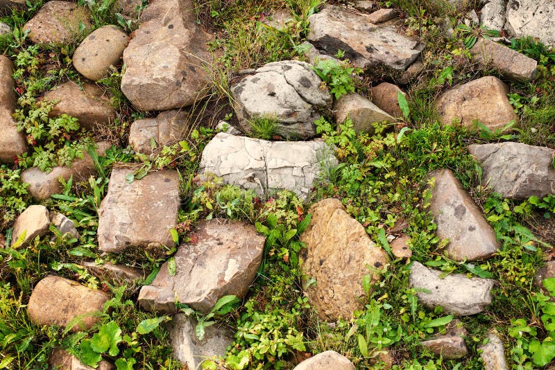 Background from Stones and Grass from Top View Stock Photo - Image of ...