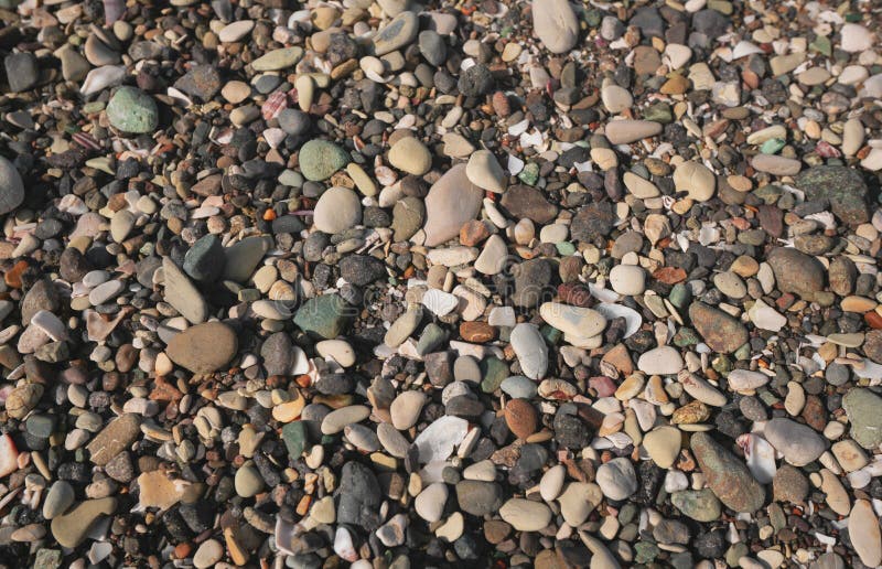 Background of Stones and Pieces of Shell Scattered on the Beach of ...
