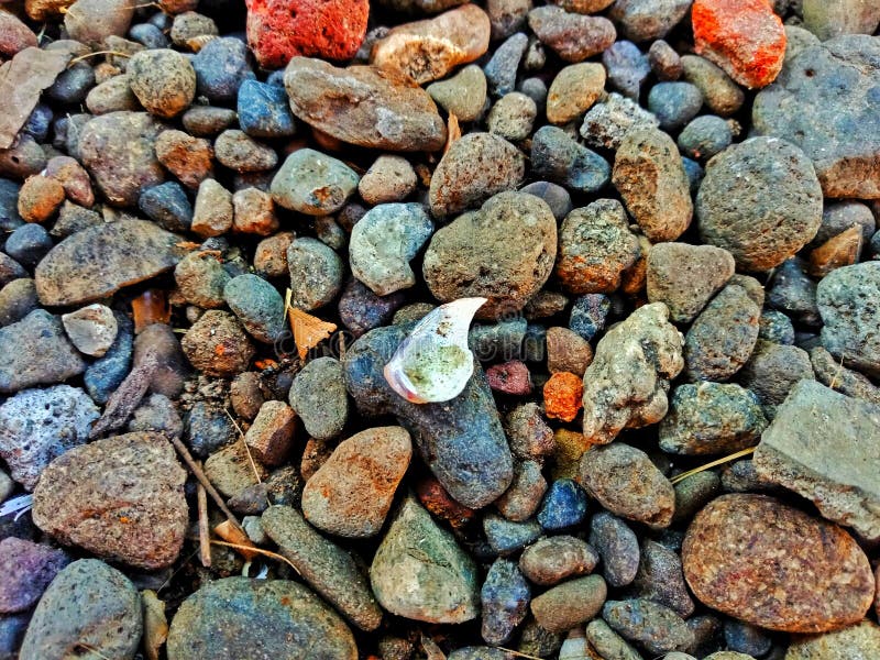 The Background of Stones and Shells is Beautiful and Charming Stock ...
