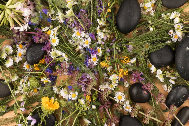Background of Stones and Wildflowers. Top View Stock Photo - Image of ...
