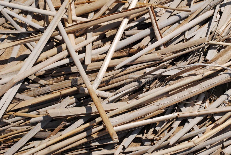 Background from Straw. Dry Stems Backdrop Stock Photo - Image of ...