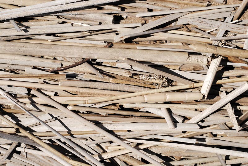 Background from Straw. Dry Stems Backdrop Stock Image - Image of reed ...