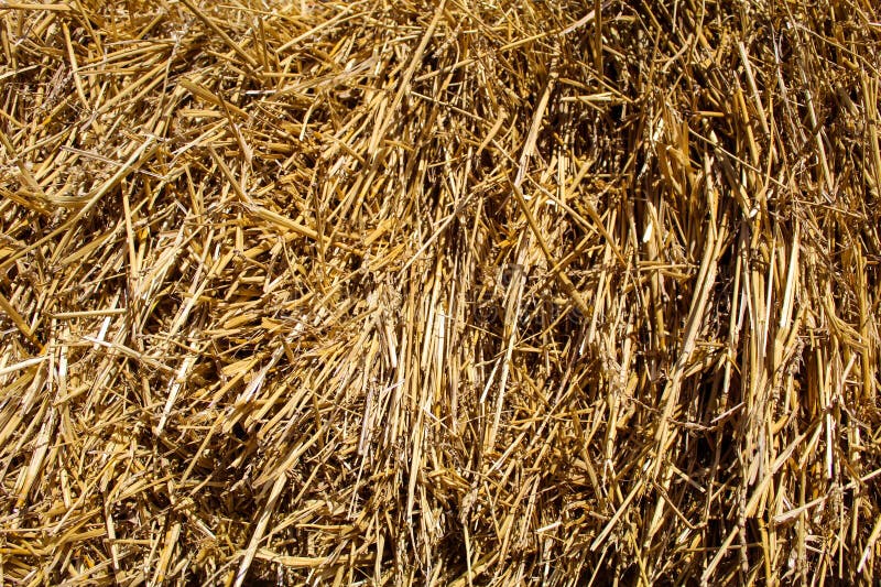 Background of Straw on the Field, Hay Bale Texture Stock Image - Image ...