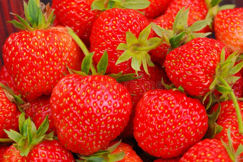 Background from strawberry stock photo. Image of food - 14480590