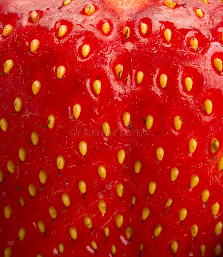 Strawberry Texture Macro Shot . Sweet Ripe Berry Stock Photo - Image of ...