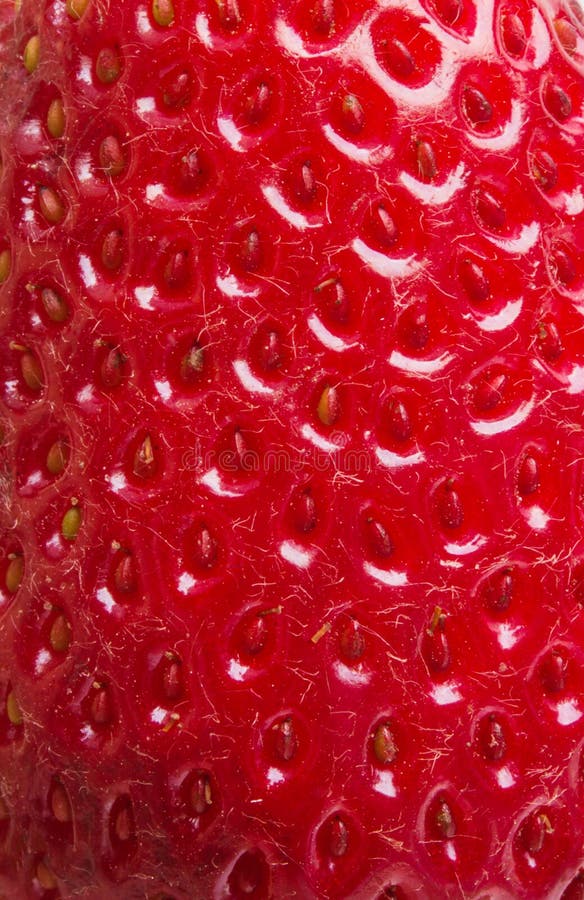 Background from Strawberry Texture Stock Image - Image of strawberry ...