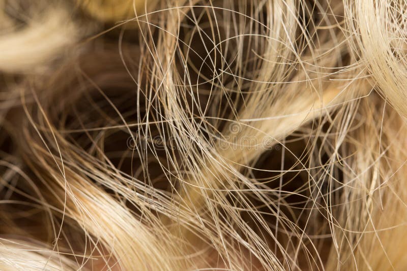 Streaked hair stock image. Image of school, style, center - 53840919