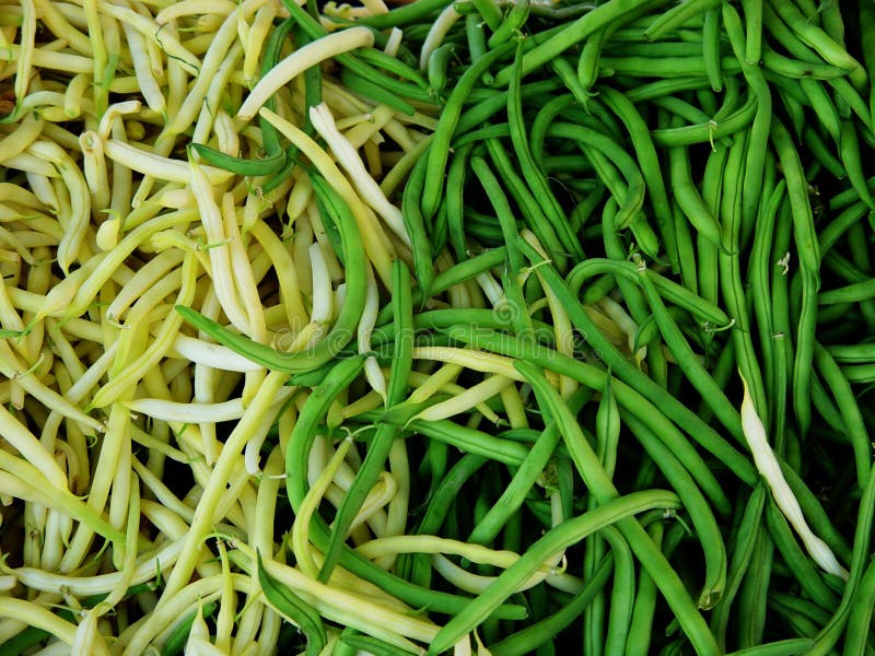 Background Of String Beans Picture. Image: 1483725