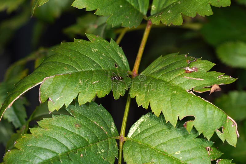 Photoshop High Resolution Studio Background Hd Stock Photos - Free ...