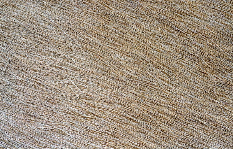 Photoshop High Resolution Studio Background Hd Stock Photos - Free ...