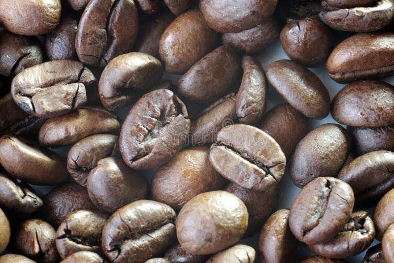 Close up of coffee beans stock photo. Image of castle - 259439778 Close up of coffee beans stock photo. Image of castle - 259439778