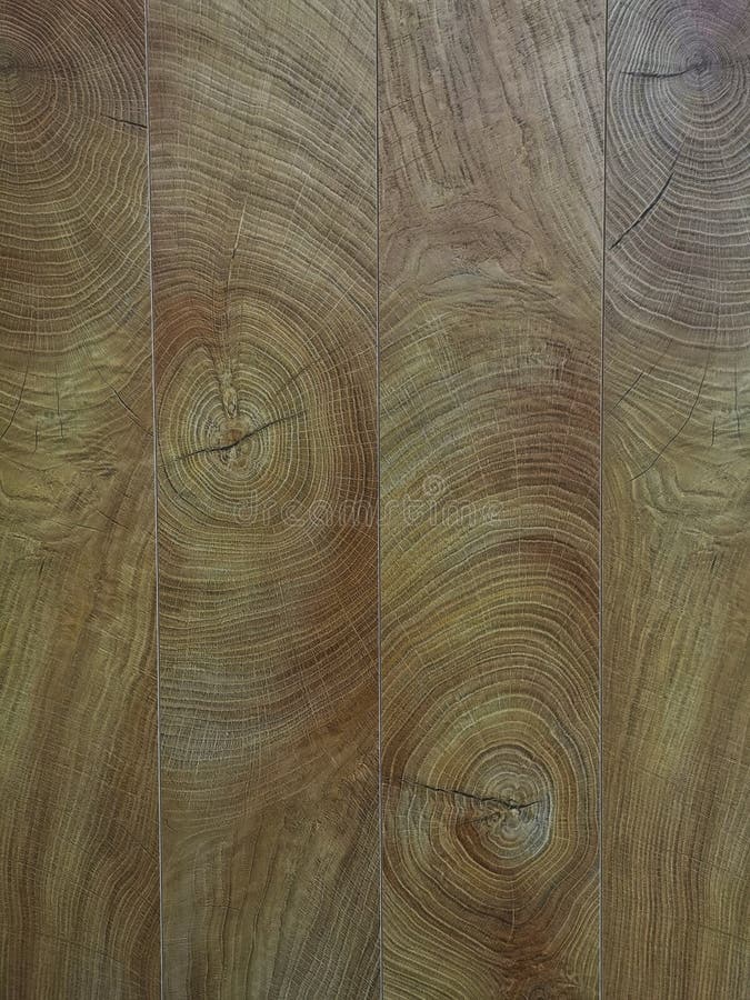 The Background with the Structure of the Tree Belongs To the Breed of ...