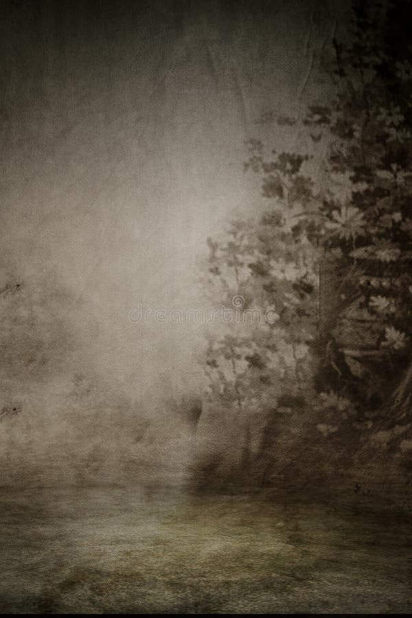 Background Studio Portrait Backdrops Photo Stock Photo - Image of paper ...