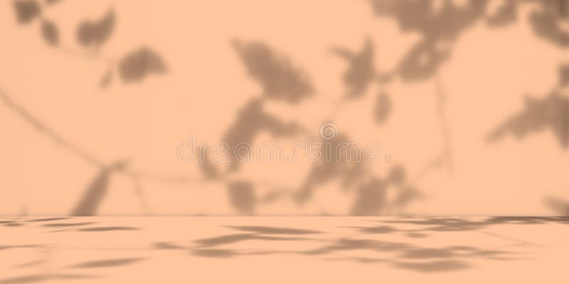 Sunlight Shadow Studio Stock Illustrations – 4,536 Sunlight Shadow ...