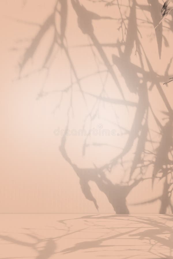 Background Studio Room Autumn with Wall Shadow Leaves Stock ...