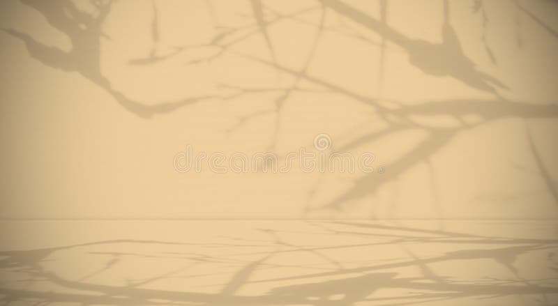 Sunlight Shadow Studio Stock Illustrations – 4,536 Sunlight Shadow ...