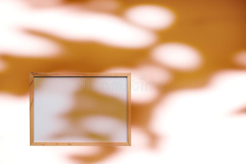 Background Studio Room Autumn with Wall Shadow Leaves Plant Stock Image ...