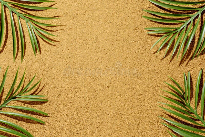 Background from Summer Yellow Sand Texture and Tropic Palm Stock Photo ...