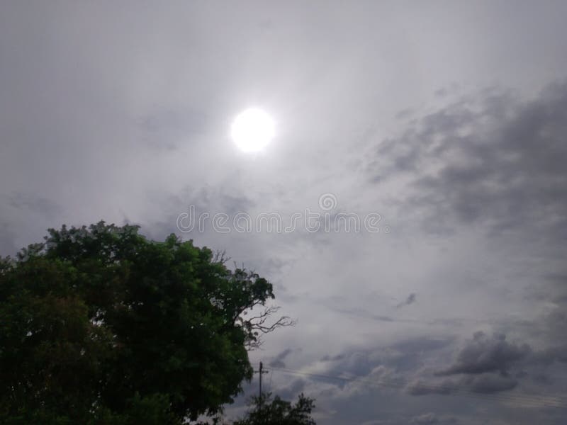 Background with Sun , Clouds and Tree Stock Photo - Image of cloud ...