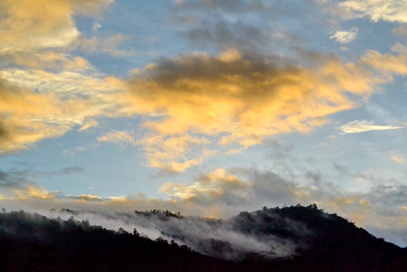 Background Sun Filtered Cloudscape Stock Photo - Image of sunrise ...