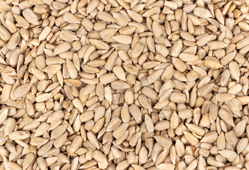 Sunflower Seeds without Shell Stock Photo - Image of pile, closeup ...