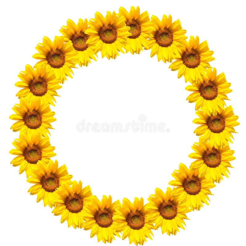 Background of sunflowers stock image. Image of blossom - 54460549