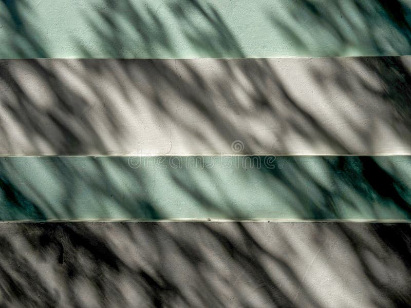 Background of Sunlight and Shadows on Coloured Wall Stock Image - Image ...