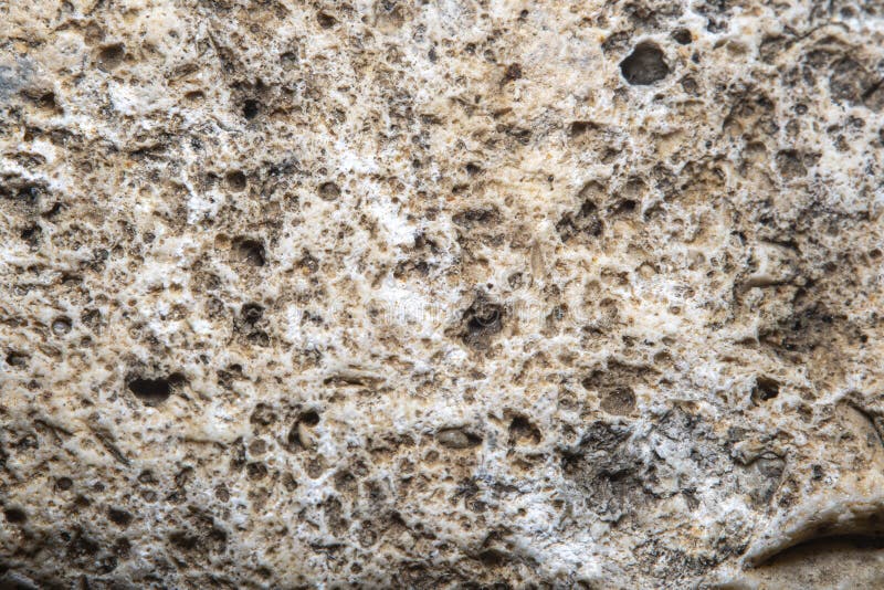 Background with the Surface of a Piece of Light Stone with Small Holes ...