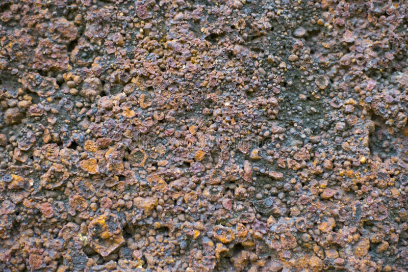 Background Surface Rust Densely Packed Areas Stock Photo - Image of ...