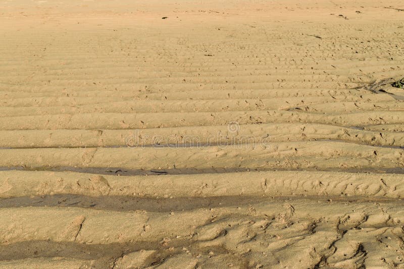 Background Surface of Sand in the Beach during Low Tide Stock Image ...