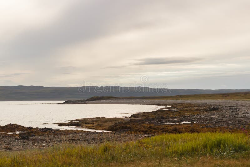 Background of the Surroundings of the Rybachy Peninsula. Barents Sea ...