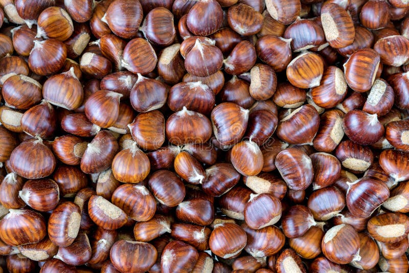 Background with Sweet Chestnuts Stock Photo - Image of nutrition ...