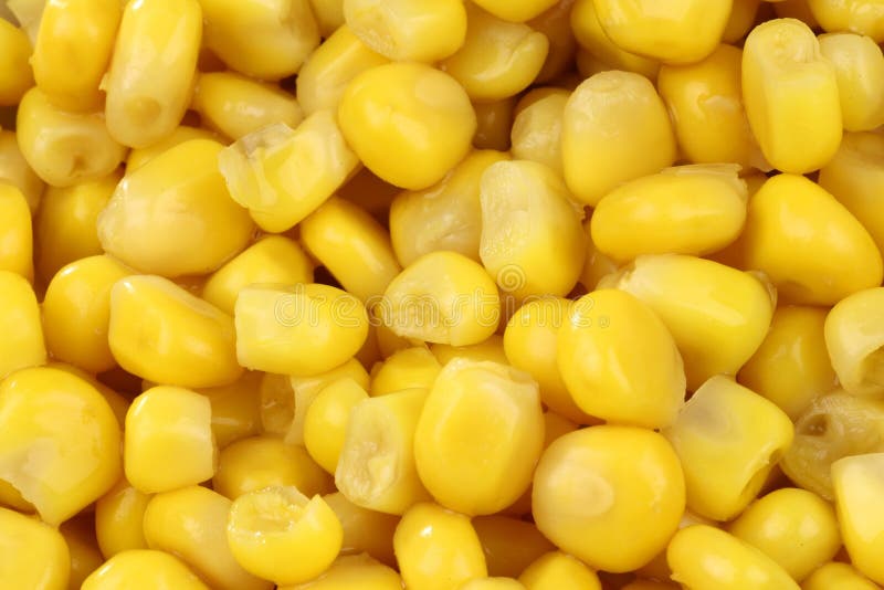 Background of sweet corn stock photo. Image of marinated - 15899738