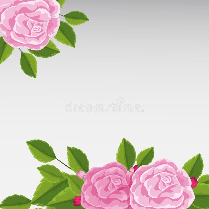 Background Template With Pink Roses Stock Vector - Illustration of ...