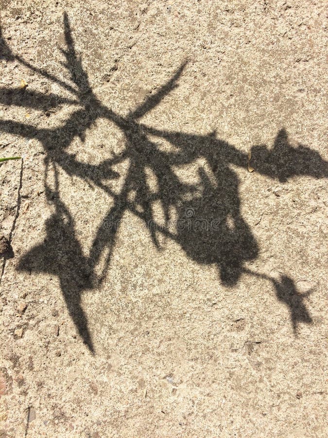 Midday shadow stock image. Image of shadow, midday, background - 120771867