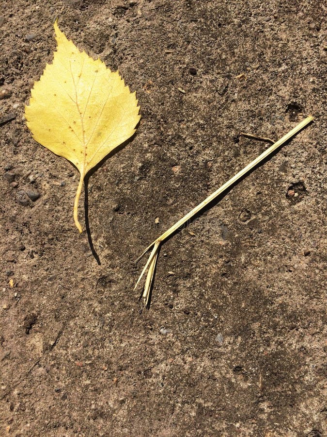 Stone surface stock photo. Image of background, concept - 120771870