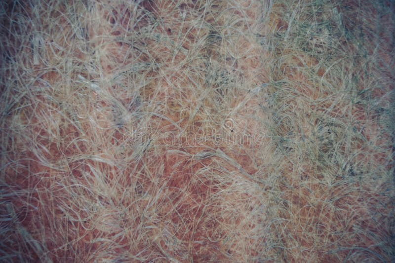 Background Texture Abstraction Part of the Wall Stock Photo - Image of ...