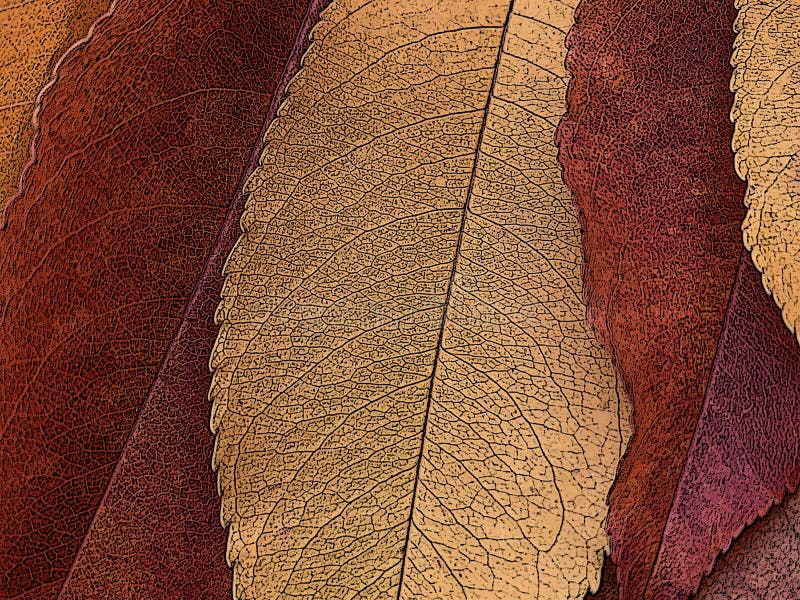 The Background Texture is Autumn Leaves. Bright Multi-colored Leaves ...