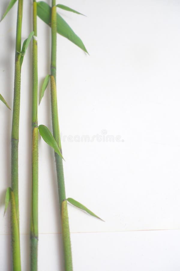 Background Texture of Bamboo Plant , Simple Decorations Stock Photo ...