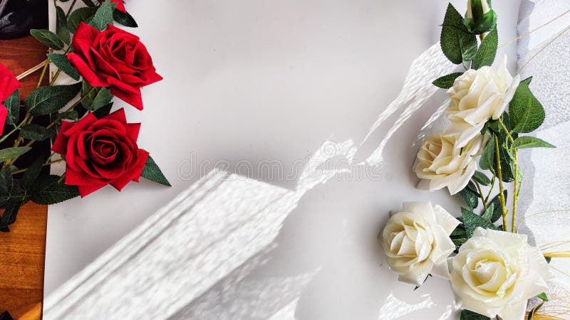 Background and Texture with Beautiful White and Red Roses with Light ...