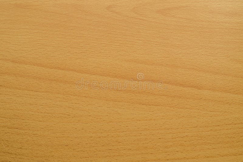 Background Texture of Beech Stock Photo - Image of texture, decor: 84105104